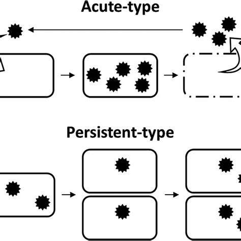 Schematic Of Transmission Routes Of Microbial Rna Viruses Download Scientific Diagram