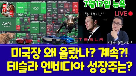 미국주식시황오늘 왜 올랐나 테슬라 엔비디아는 왜 올랐나루시드는 왜리비안 니오 구글 애플 아마존 메타 마이크로소프트 앱셀레라 뷰직스등 Cpi소비자물가지수 결과