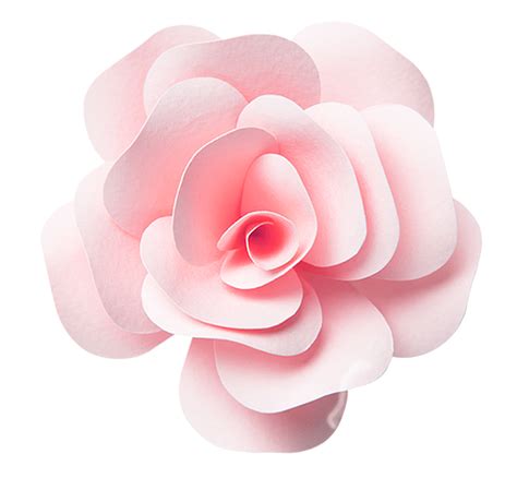 3D立体花朵剪纸风花朵素材PNG免抠