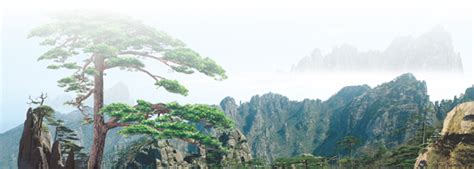 山东奇威特太阳能科技有限公司