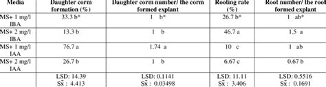 Daughter Corm Formation And Root Occurance From The Proliferated Plants Download Scientific