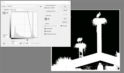 Solved Problems With Select And Mask Adobe Product Community 10512120