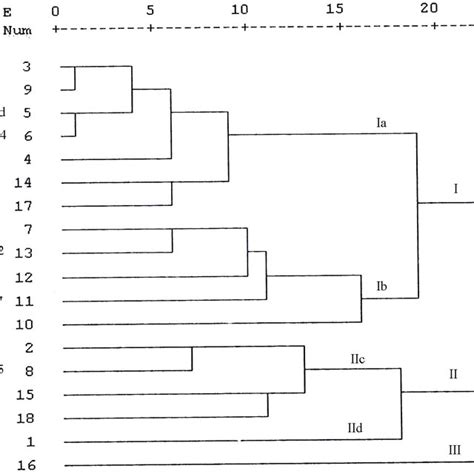 Wards Minimum Variance Dendrogram Of 18 Phaseolus Vulgaris L