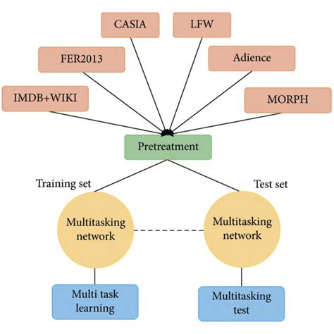 Schematic Diagram Of Multitask Learning System Download Scientific