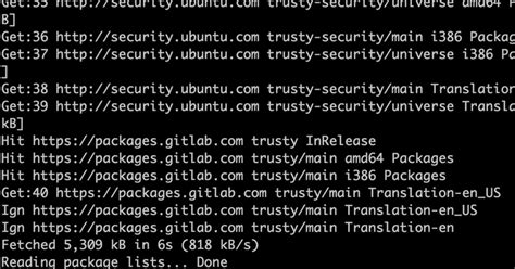 How To Upgrade Gitlab To The Latest Version Pheonix Solutions