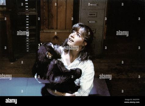 Link Year 1986 Uk Director Richard Franklin Elisabeth Shue Stock