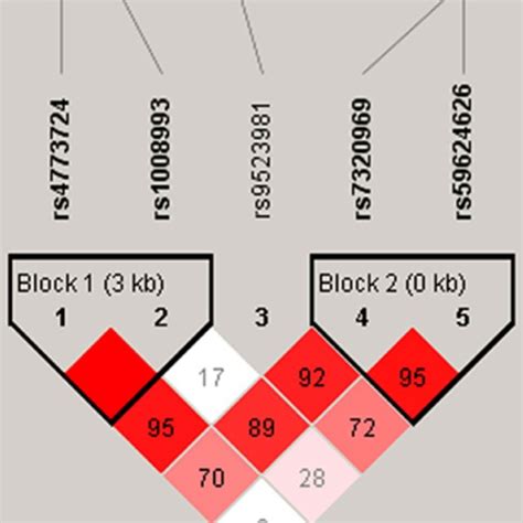 Haplotype Block Map Of Gpc6 Variants The Numbers Inside The Diamonds