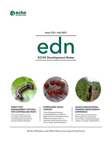 Echo Development Notes Edn