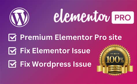 Fix Elementor Wordpress Errors Bugs Design Issue Create Elementor Pro Website By Zainbinijaz