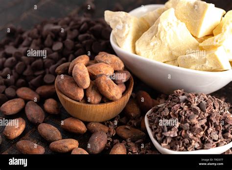 Various Stages Of Chocolate Production Cocoa Nibs Cocoa Butter Cocoa Beans And Chocolate Chips