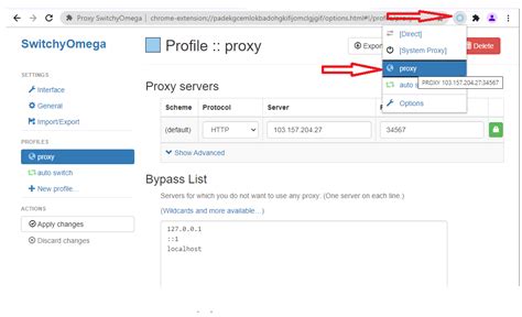 Hướng Dẫn Sử Dụng Add On Proxy Switchyomega Fake Ip Proxy Trên Chrome