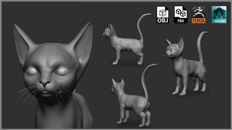 Cute Cat Sculpt 3d Model By Tsering