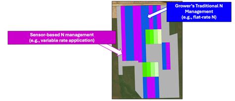 Exploring The Potential Of Active And Passive Canopy Sensors For Winter