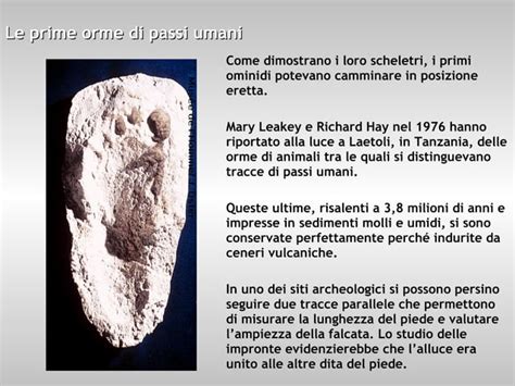 Genere Australopithecus Ppt