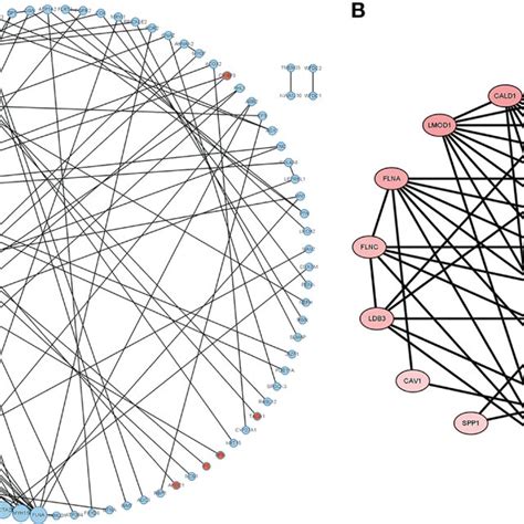 Ppi Network Complex And Modular Analysis Of Degs In Pca The Network