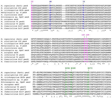Architecture And Active Site Of Particulate Methane Monooxygenase Pmc