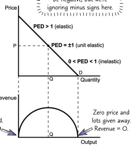 Uses Of Elasticities Of Demand Flashcards Quizlet