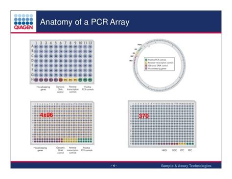Pcr Array Data Analysis 2013
