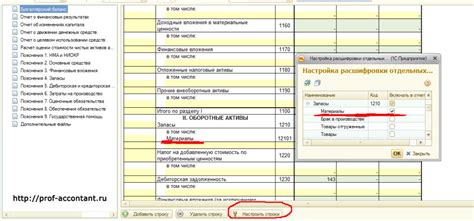 Бухгалтерская отчетность в 1с Бухгалтерия 8 за 2013 год Профессиональный бухгалтер