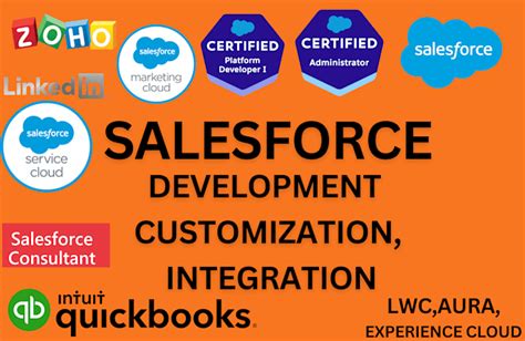 do salesforce development customization integration by programmertec fiverr