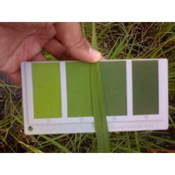Jual Bwd Bagan Warna Daun Jawa Barat Agroplasa Indonetwork
