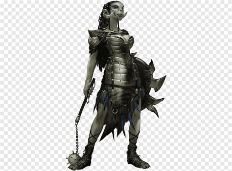 패스 파인더 롤 플레잉 게임 던전 앤 드래곤 하프 오크 D20 시스템 오크 여성 게임 가상의 인물 Png Pngegg