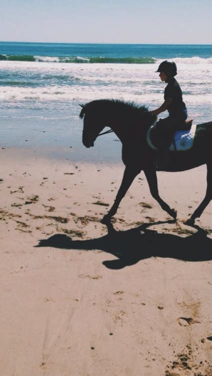 I Wanna Go Back To The Beach Tumbex
