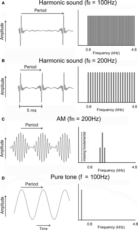 Temporal Left And Spectral Right Representation Of Examples Of Download Scientific Diagram