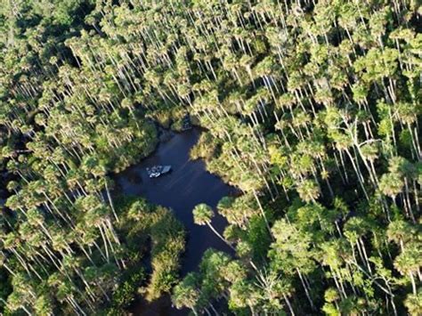 Flagler Beach Fire Department Home Facebook