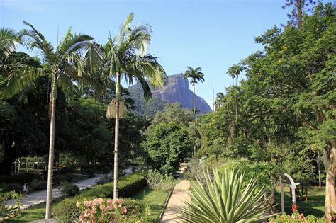 Rio De Janeiro Botanical Garden Brazil With Map And Photos