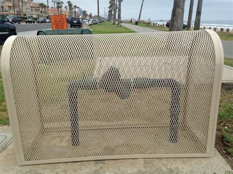 Backflow Preventer Cover