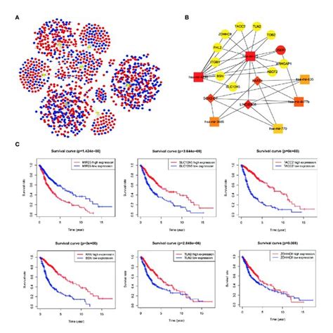 Long Noncoding Rna Lncrna Prognostic Microrna Mirna Mrna Download Scientific Diagram