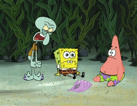 Conch Shell Says Yes