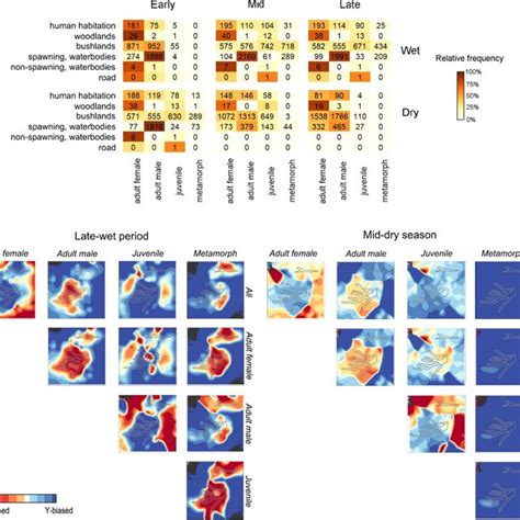 Spatial Density Maps Depicting The Distribution Of Toads By Age Sex