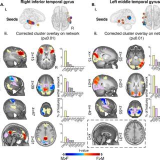 Functional Connectivity Differences Between Females And Males From The Download Scientific