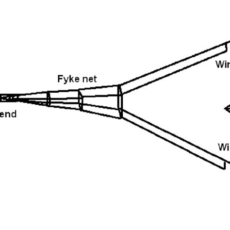 Sketch Of 1m Fyke Net Deployment Configuration The Wings Are Shown Set Download Scientific