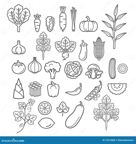 Значки овощей также вектор иллюстрации притяжки Corel Иллюстрация вектора иллюстрации