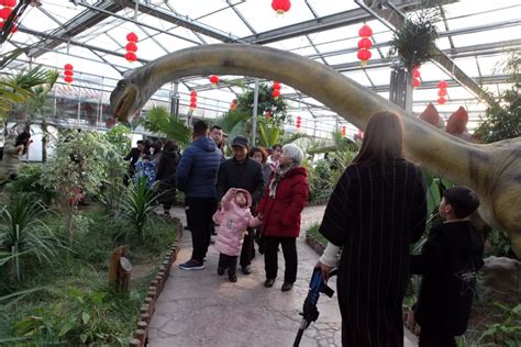 春节不来山西长治县振兴乡村生态旅游区的十大遗憾 你中了几条？