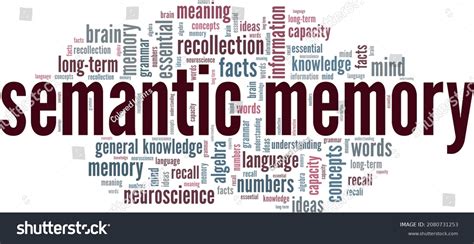 Semantic Memory Over Royalty Free Licensable Stock Vectors Vector Art Shutterstock