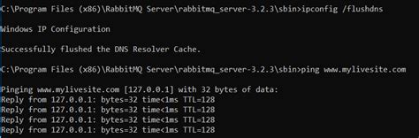 Coderjony How To Use Live Domain For Your Localhost Websites Running