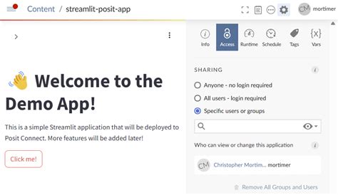 Publishing A Python Streamlit App To Posit Connect