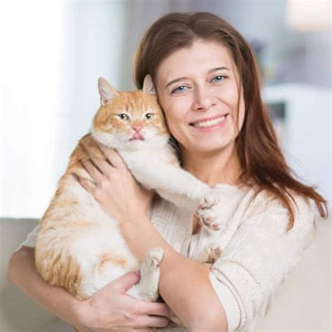 Best Food For Cat With Hyperthyroidism Top Dietary Solutions Revealed