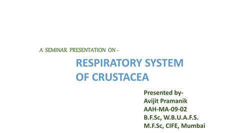 Respiratory System Of Crustacea Pdf