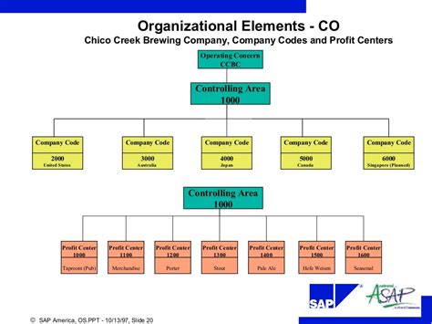 Org Structure Sap
