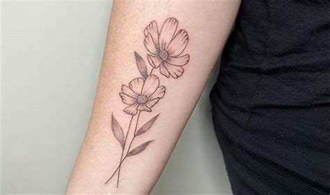 Meaning Revealed Cosmos Flower Tattoo Meaning Designs