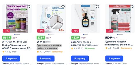 Плесень: что это, почему появляется, чем опасна, как избавиться