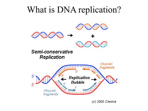 PPT DNA RNA And DNA Replication PowerPoint Presentation Free Download ID