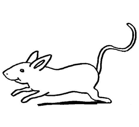 생쥐 색칠 공부 Kr에서 무료 색칠 공부