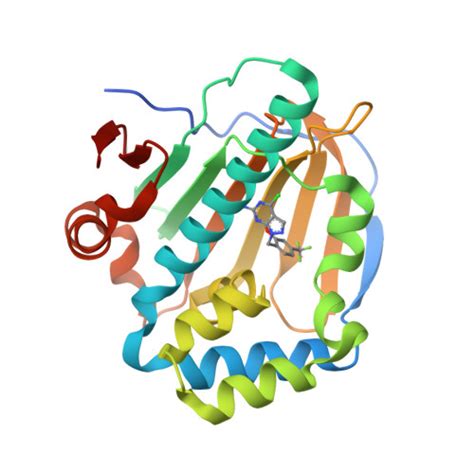 Rcsb Pdb 7c04 Crystal Structure Of Human Trap1 With Dn203492