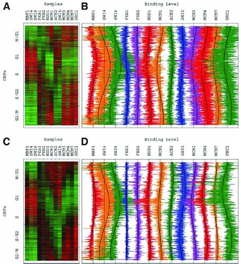 pseudoinverse reconstructions of the proteins dna binding data in the
